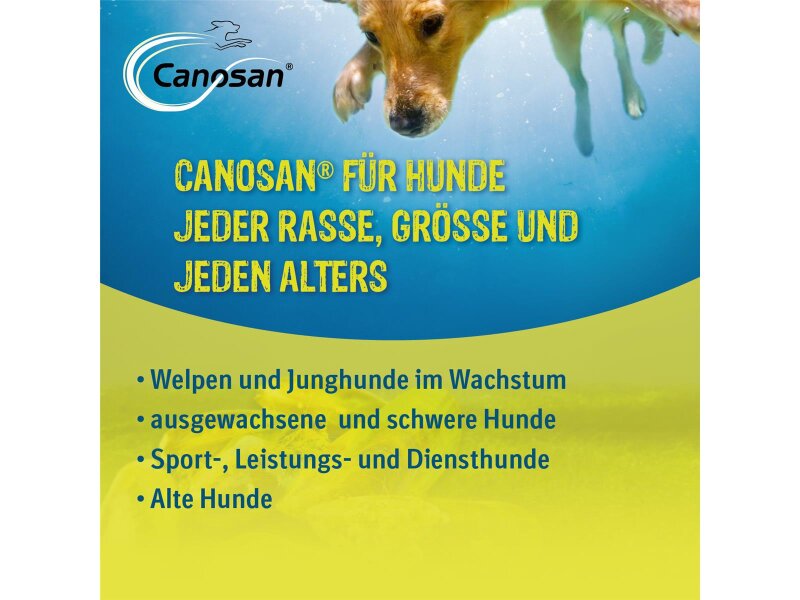 Canosan für Hunde 1300 g Konzentrat mit 4% Gonex | VetMedPro