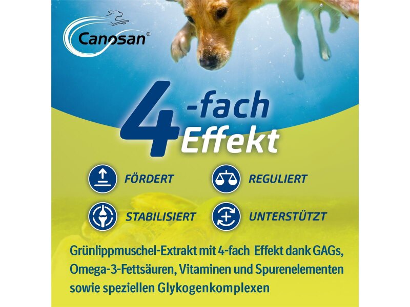 Canosan für Hunde 1300 g Konzentrat mit 4% Gonex | VetMedPro